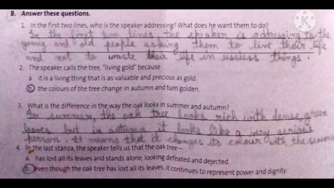 gulmohar-grammar-and-language-skills-worksheet-11-youtube