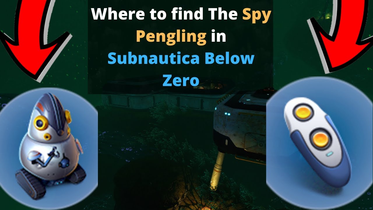 Where to find the Spy Pengling in Subnautica Below Zero - YouTube