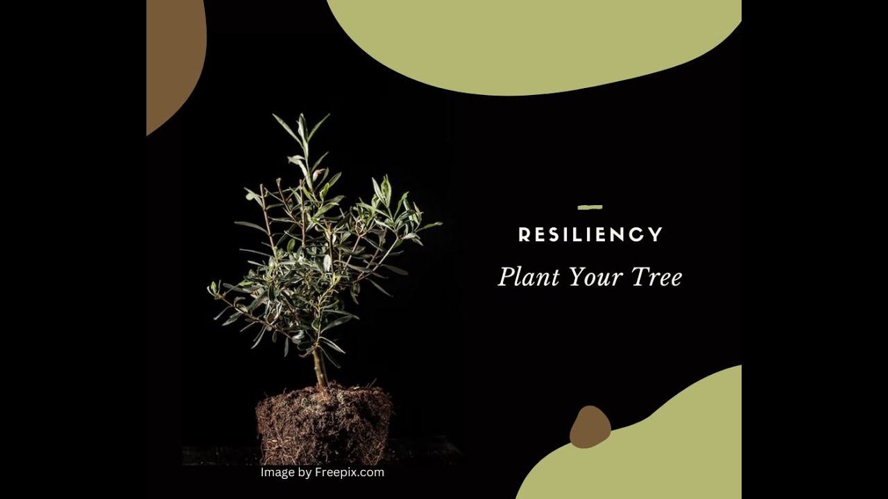 Resiliency: Plant Your Tree - YouTube
