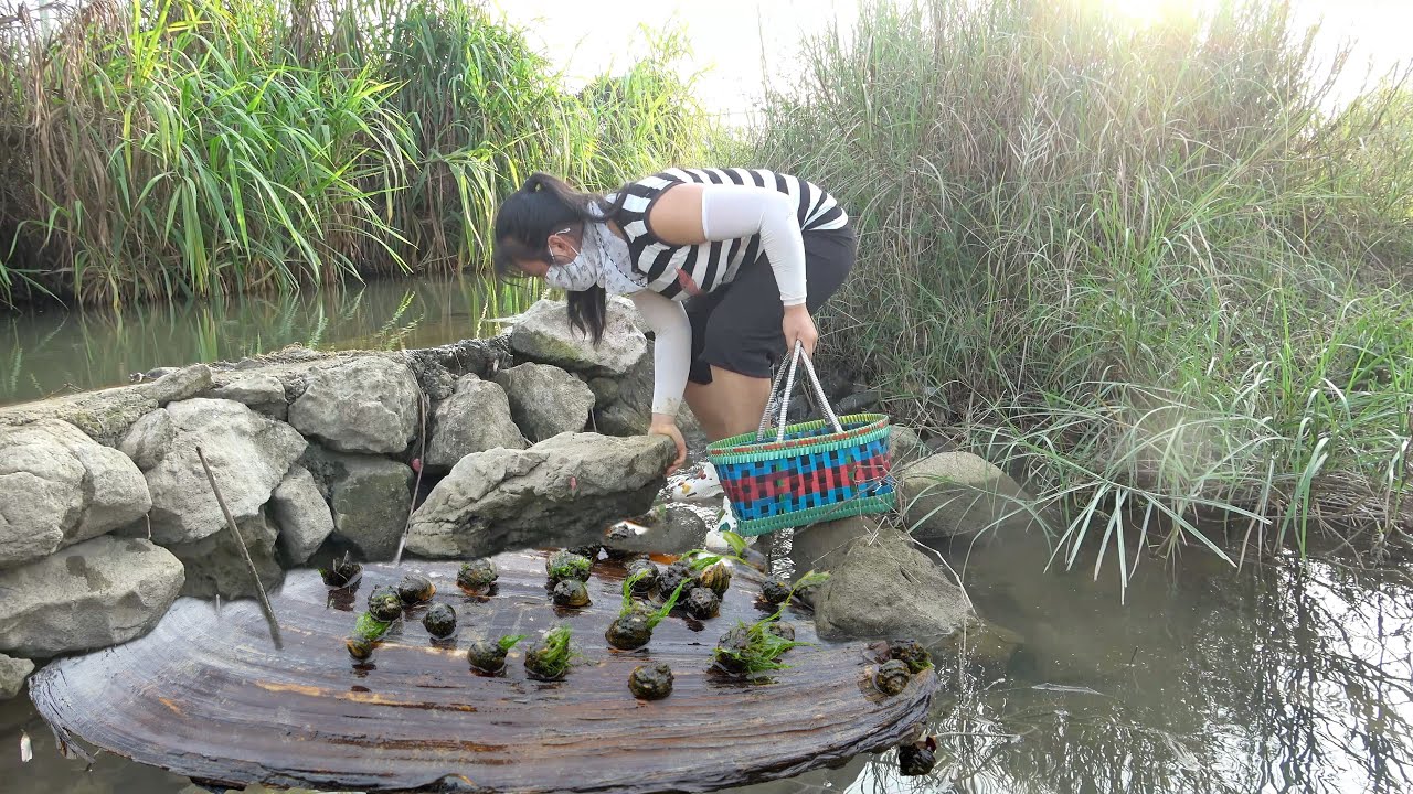 Nature's Pearl Showcase: Girl Finds Giant, Gem-Encrusted Clam, a ...