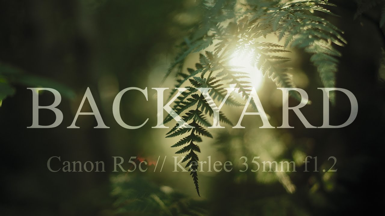 Canon R5c Cinematic Footage - Captivating Cinematic Summer Ambience ...