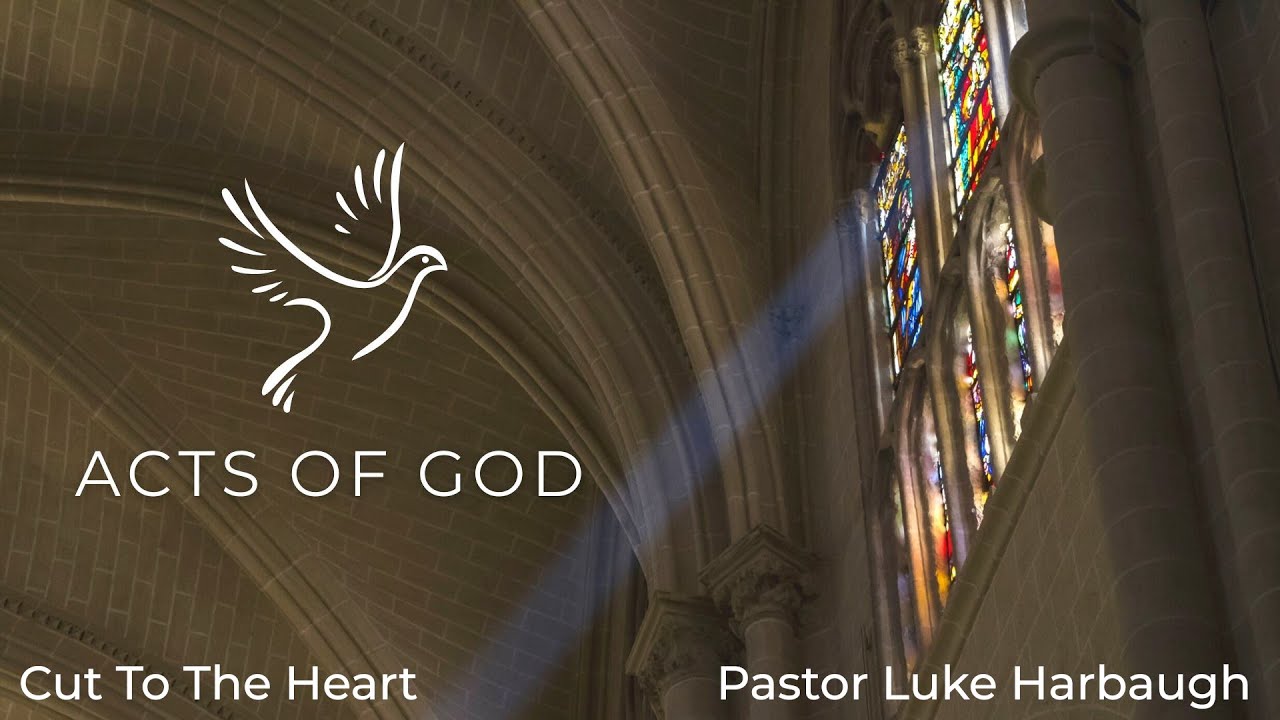 Cut To The Heart | Pastor Luke Harbaugh | August 7th 2022 - YouTube