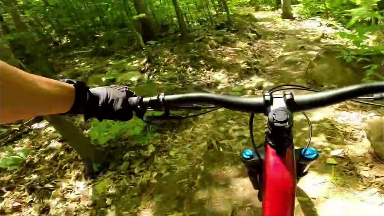 Mountain biking through the woods in beautiful sunshine is exhilarating - YouTube
