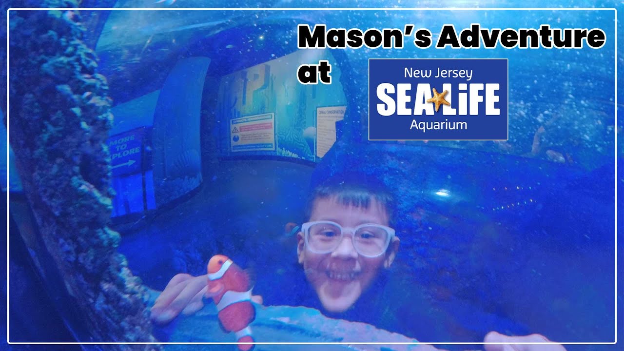 MASON ADVENTURE'S AT SEALIFE AQUARIUM-AMERICAN DREAM MALL - YouTube