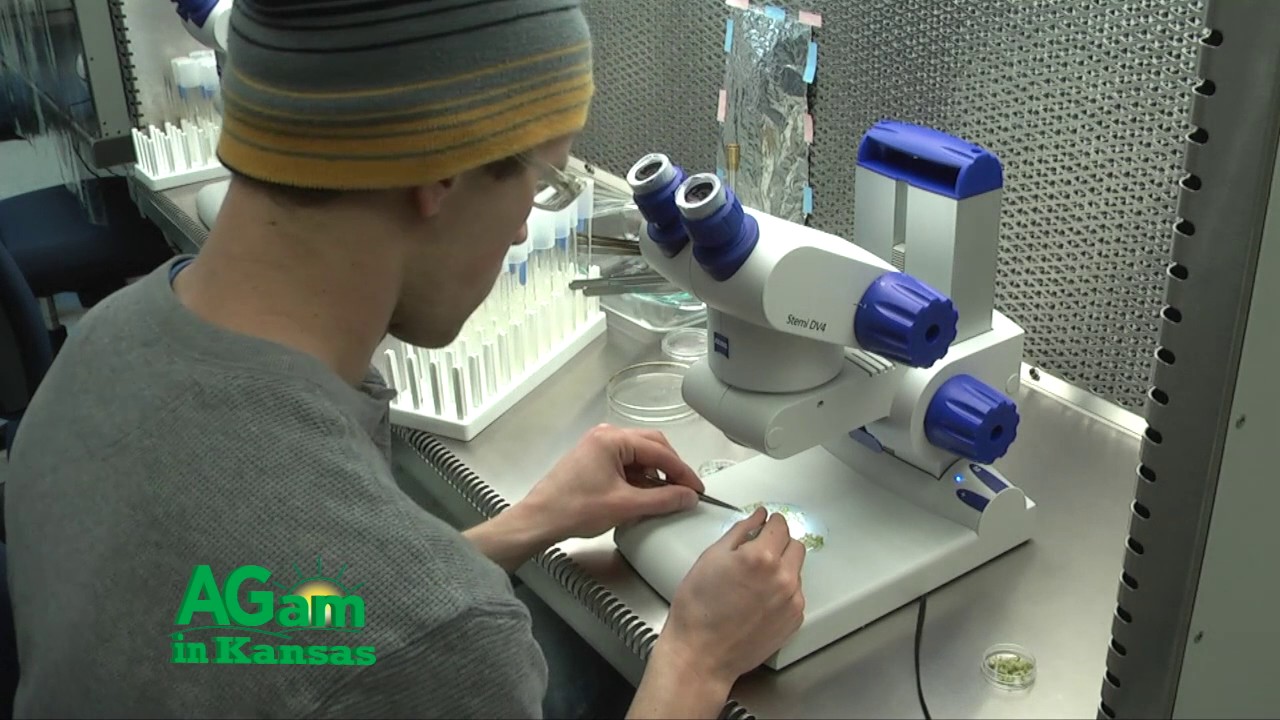 Farm Factor - Dean Bushey talks about the current Regulatory ...