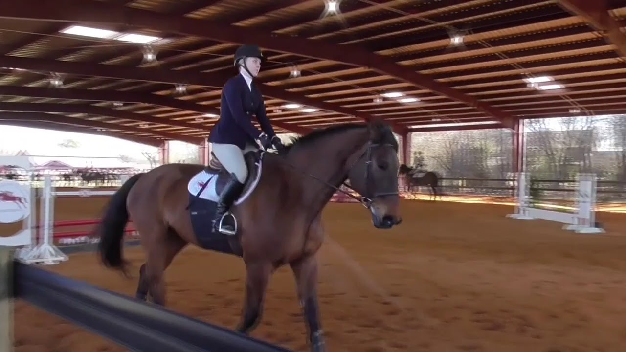 BCET Alabama Hunt Seat Show ||2/22/20-2/23/20|| Keely Gray - YouTube