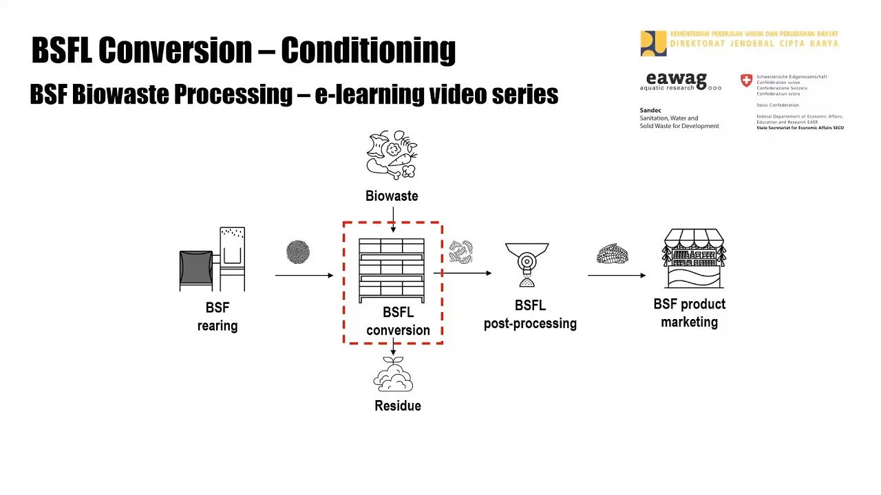BSFL Conversion - Conditioning - BSF Biowaste Processing e-learning ...