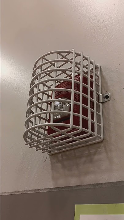 System Sensor L Series SPSRL Speaker Strobe Fire Alarm - YouTube