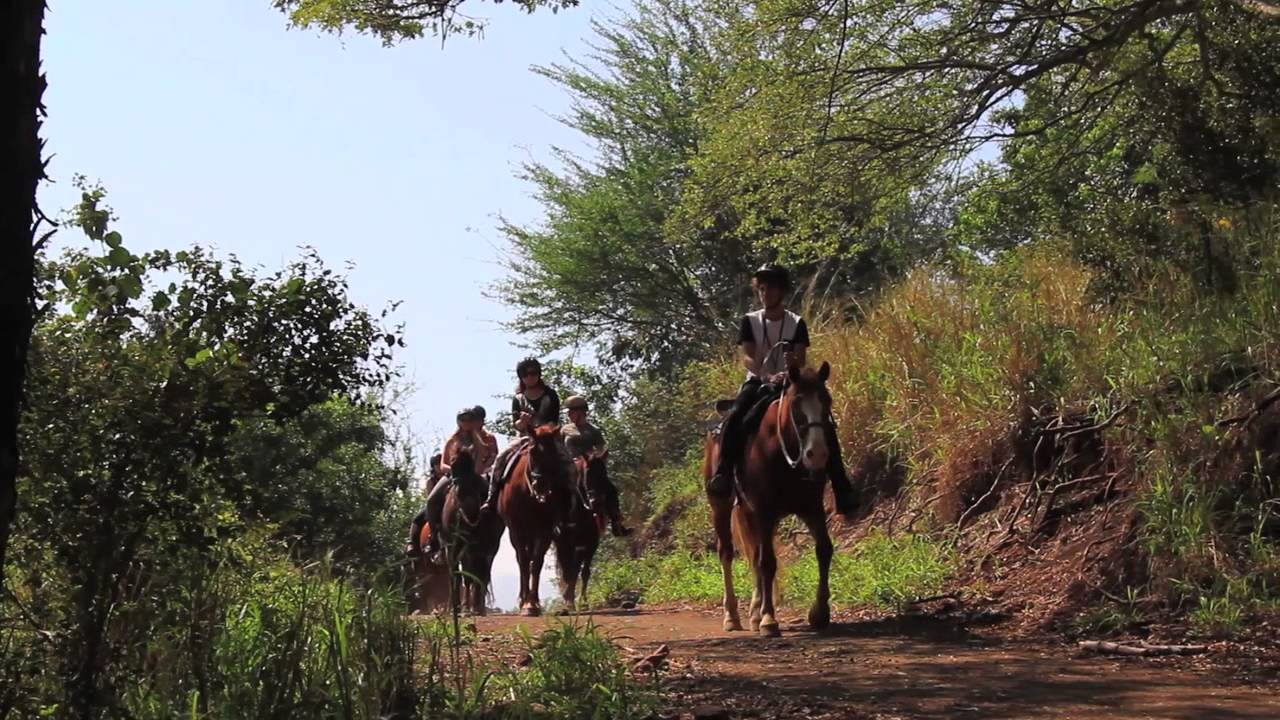 Kualoa Ranch Horseback riding tour - YouTube