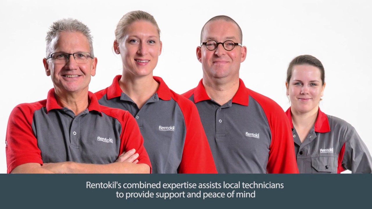 The Experts in Pest Control | Rentokil - YouTube