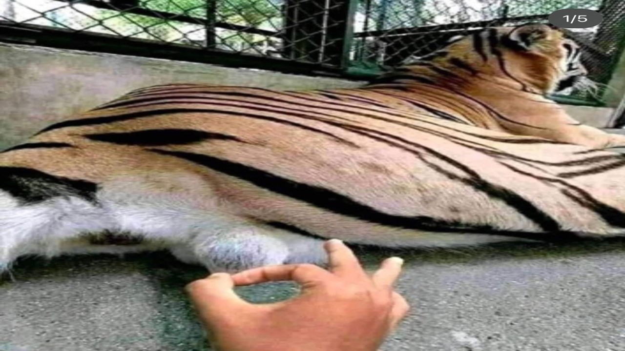 Random Low Quality Meme i Have In My Computer #45 - YouTube