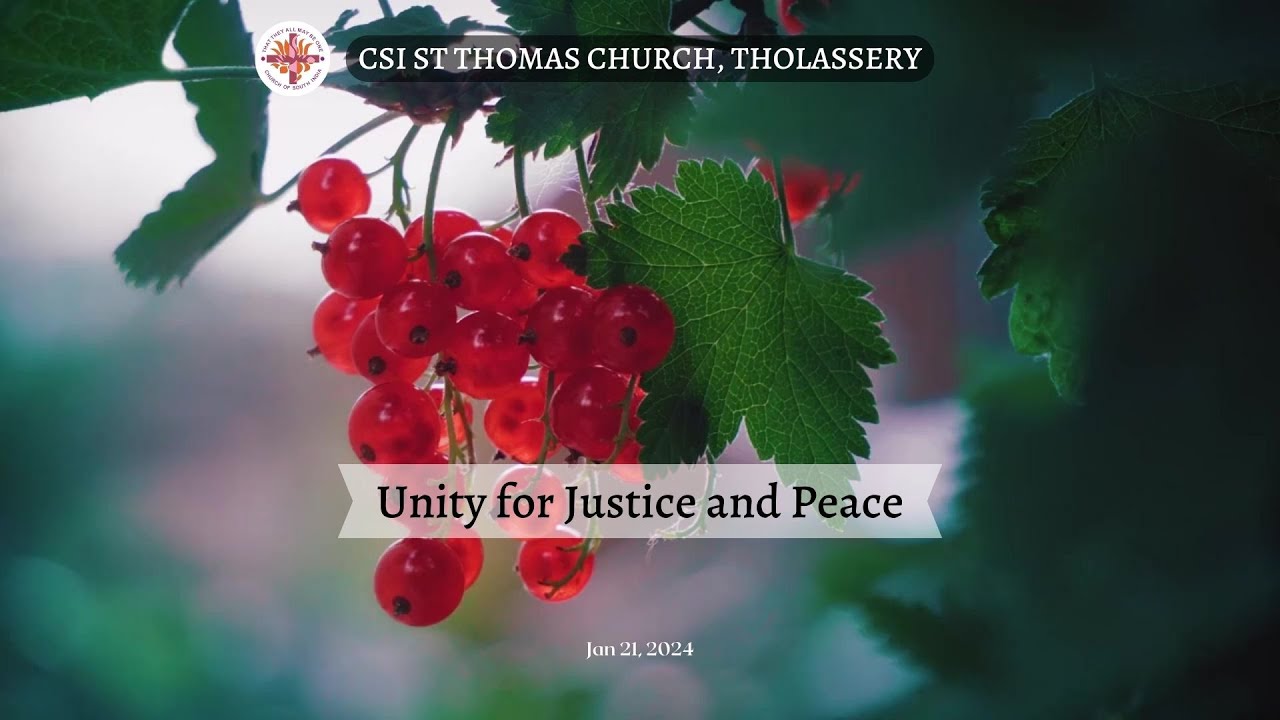 സഭൈക്യ ഞായർ | നീതിക്കും സമാധാനത്തിനുമായുള്ള ഐക്യം | Unity for Justice ...