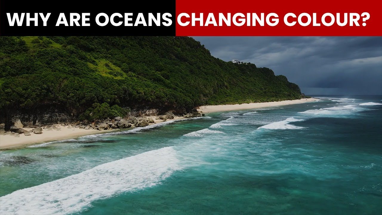 Why Oceans Are Changing Colour? | NewsMo - YouTube