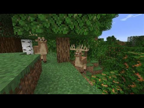 Getting a dear morph mcpe morph gauntlet+naturalist addon's (sorry for ...