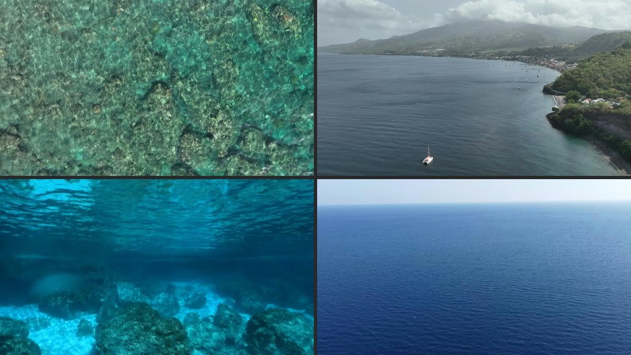 La ONU adopta un "histórico" tratado para proteger la altamar | AFP ...