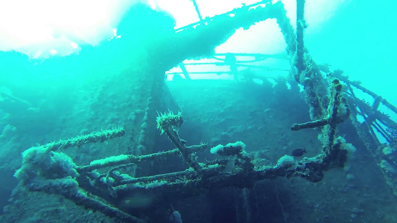 Shipwreck in the Red Sea: CHICKEN WRECK - YouTube