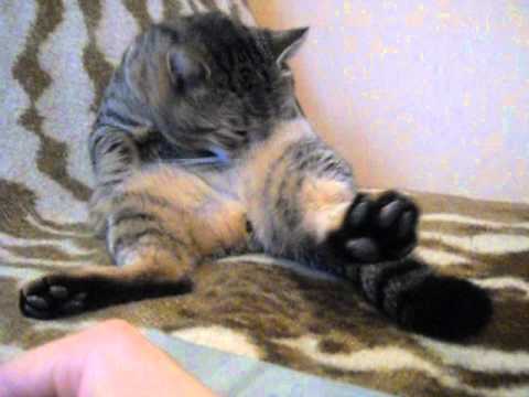 Luda Macka - YouTube