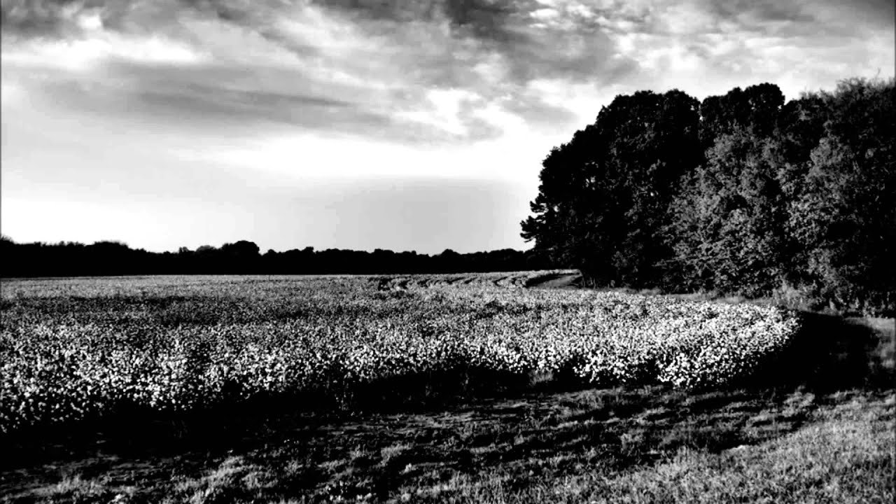 Texas Summer Nights - YouTube