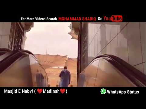Masjid E Nabvi | WhatsApp Status