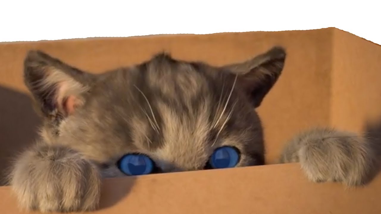 Learn With The Cutest Cat! Little Kitten Primary School - Educational ...