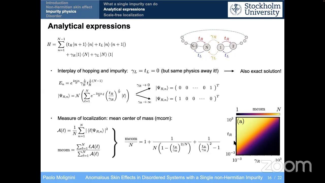 Paolo Molignini: Anomalous Skin Effects in Disordered Systems with a Single non-Hermitian ...