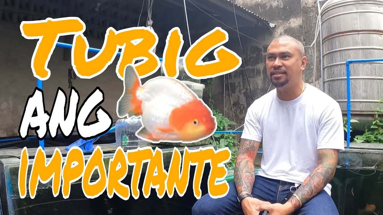 EP206. GROOMING NA WALANG TIPID TIPID SA TUBIG BY FRITZ CENIZA ...