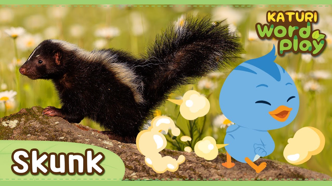 * Skunk * | Katuri Word Play | Learn Animals | Animals for kids to ...