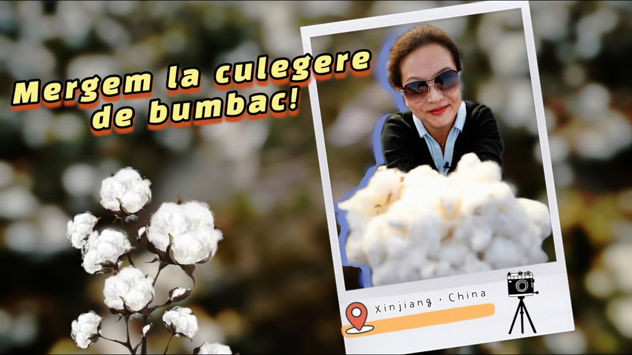 La cules de bumbac - YouTube