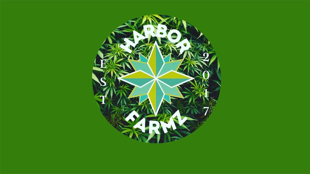 ALIEN PEBBLES from HARBOR FARMS STRAIN REVIEW - YouTube