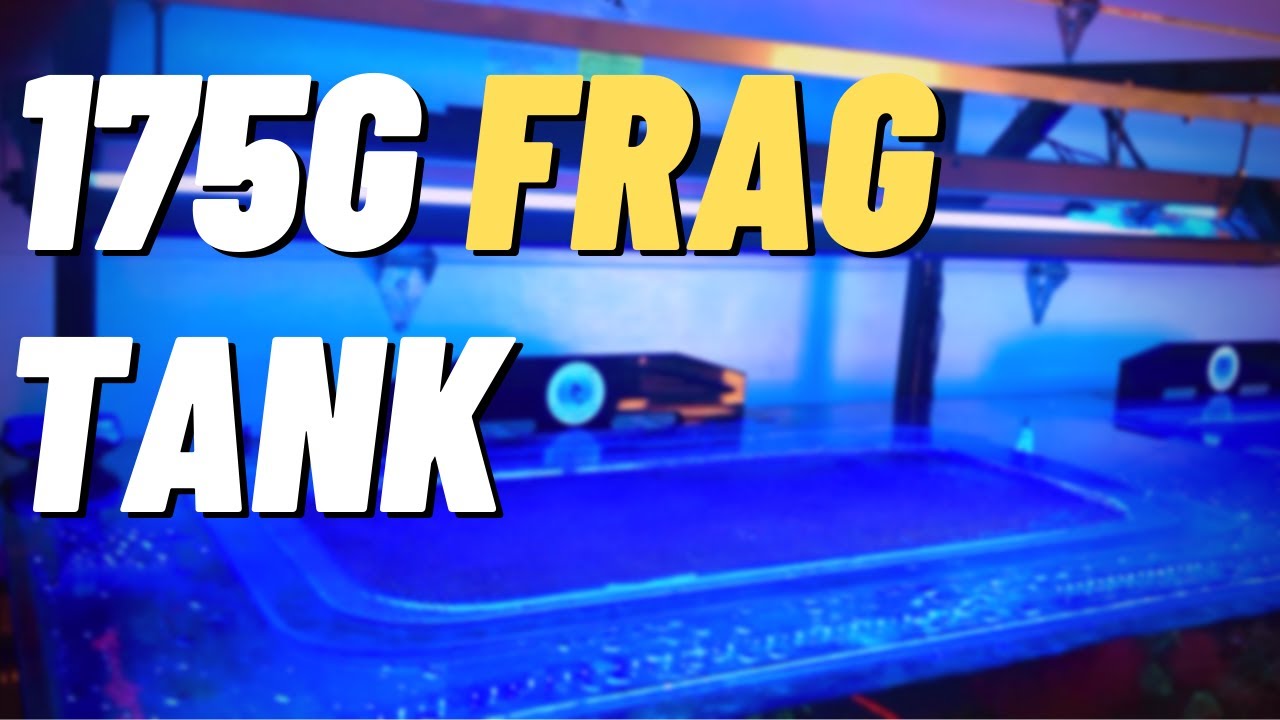 Epic Custom frag tank build. 175g custom acrylic saltwater reef tank ...
