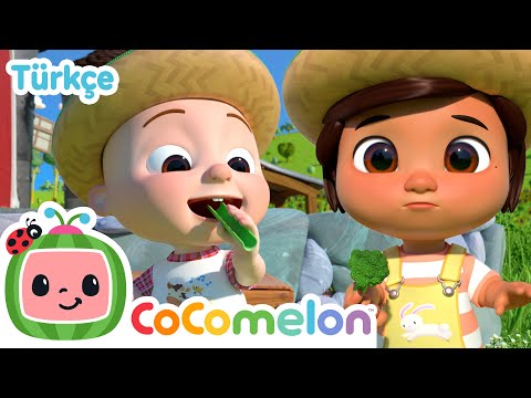 Haydi Sebzeleri Tadalım! 🌽🥕 | CoComelon Türkçe | Çocuk Şarkıları