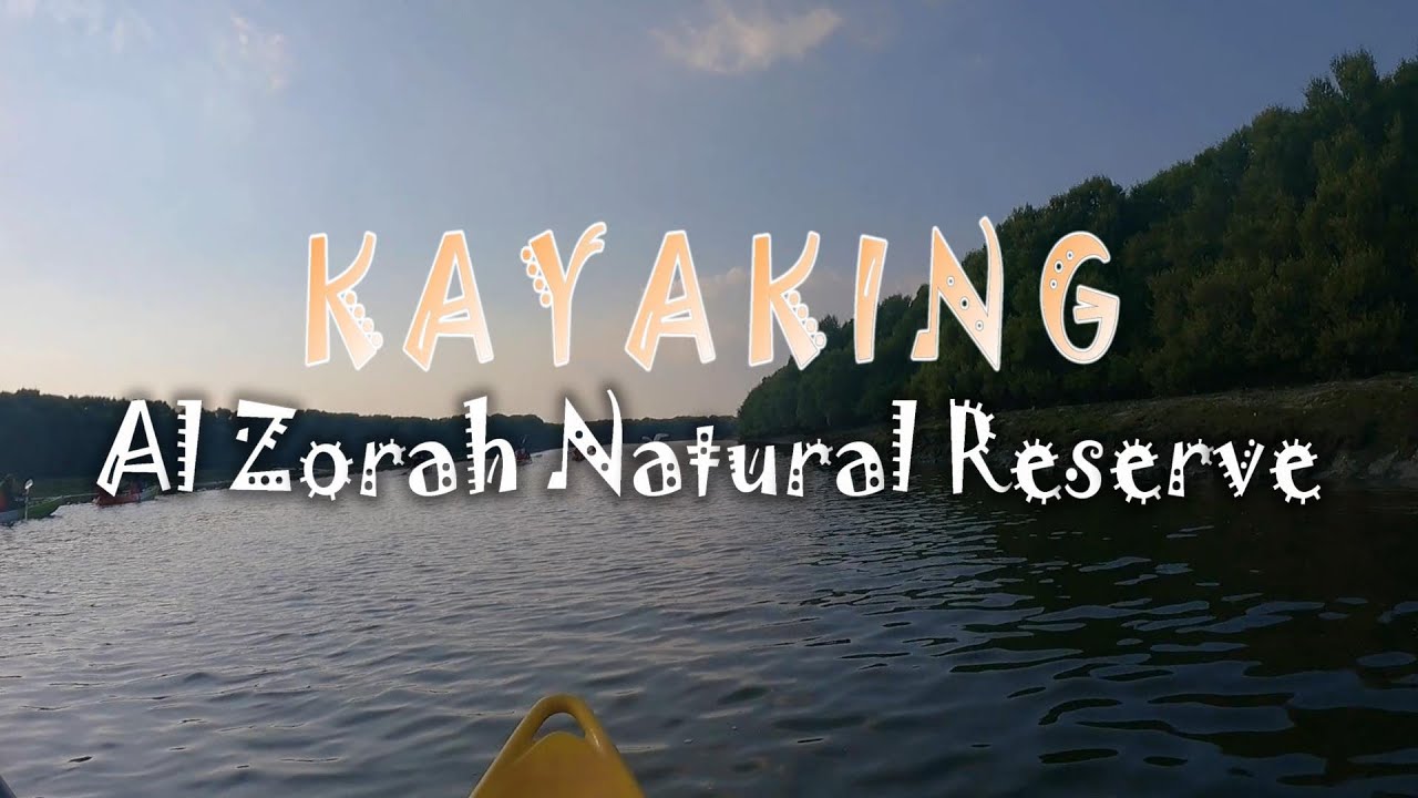 Kayaking at Al Zorah Natural Mangrove Reserve, Ajman, UAE - YouTube