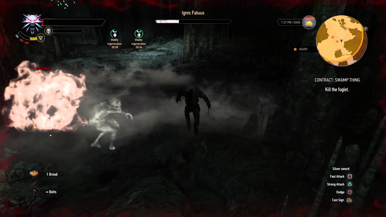 The Witcher 3 Wild Hunt Secret boss battle - YouTube