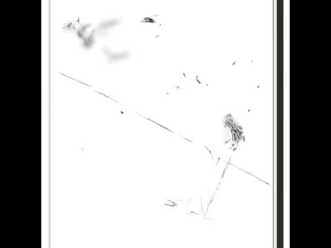 calque palimpseste 2