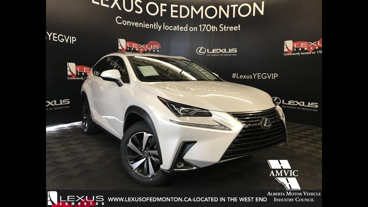 White 2018 Lexus NX 300 Executive Package Walkaround Review West ...