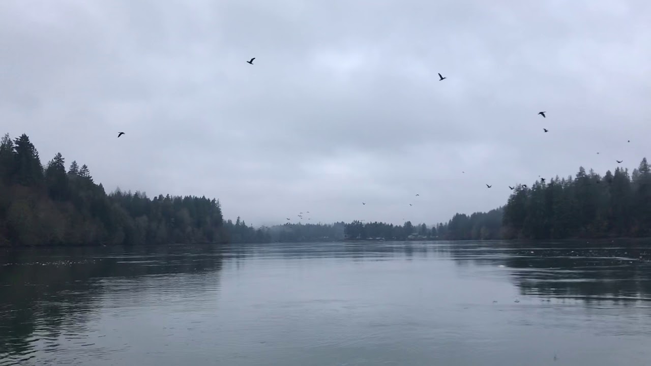 Hammersley Inlet 11-18 2 - YouTube