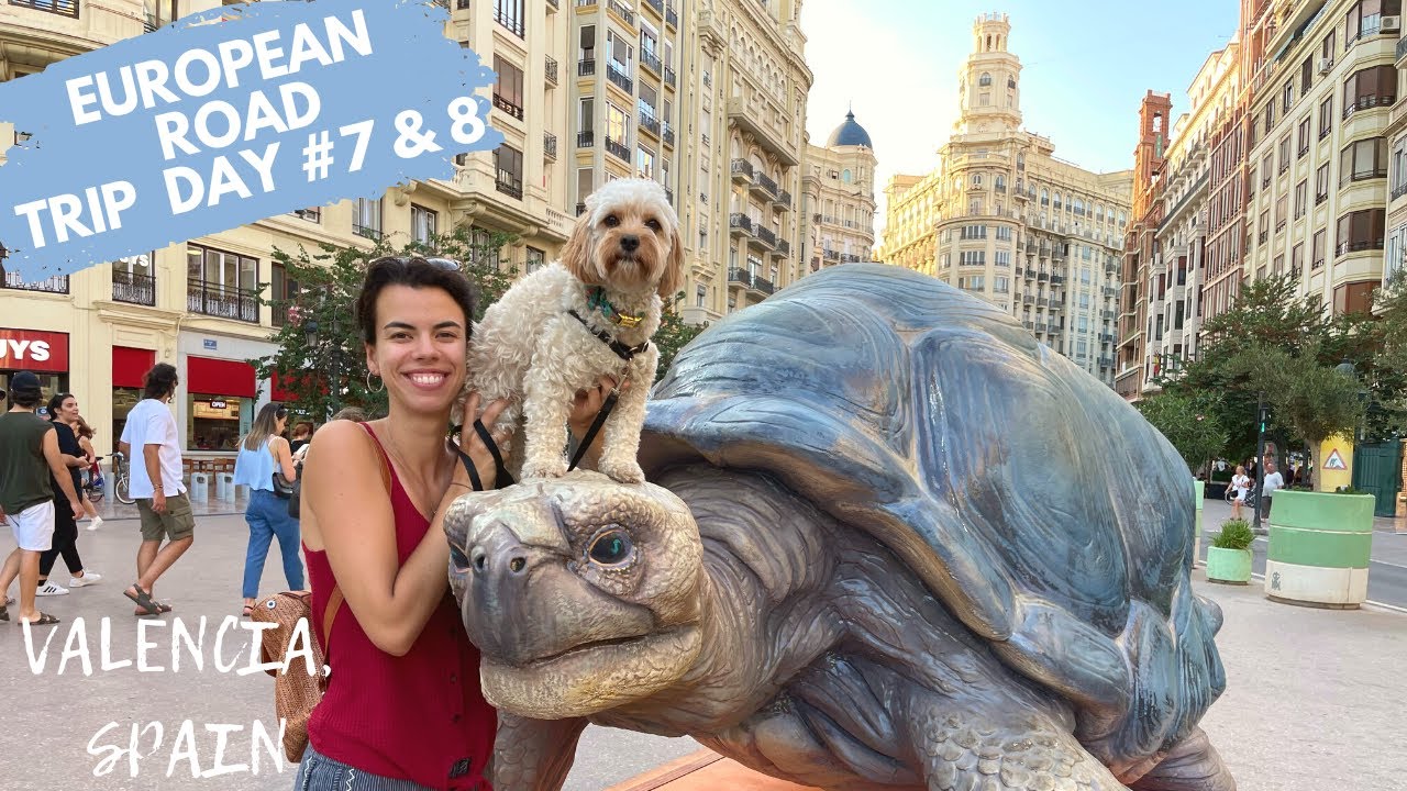Traveling with My Cavapoo Puppy to Valencia! We Visit our First Dog ...