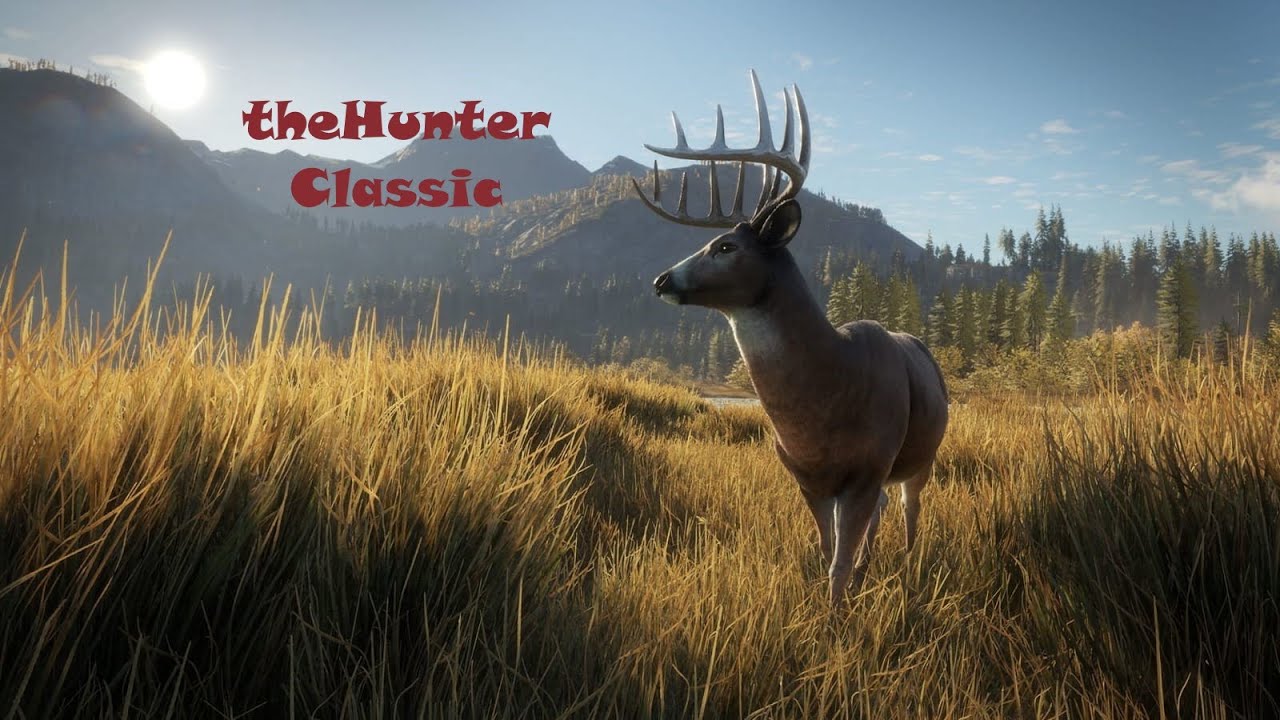 theHunter Classic - YouTube