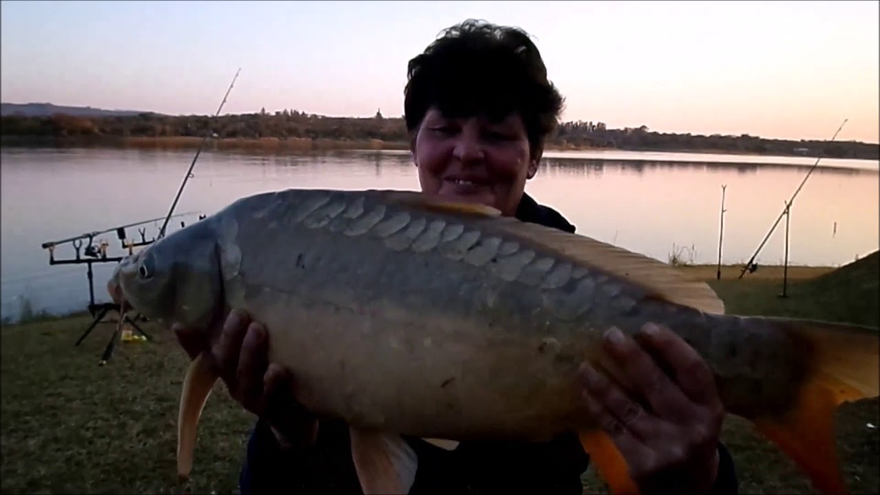KAPHOM varswater hengel : albasini dam , beja hengel paradys , texas ...