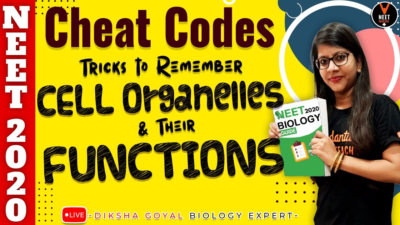 Tricks To Remember Cell Organelles And Functions Class 11 NEET tricks-to-remember-cell-organelles-and-functions-class-11-neet