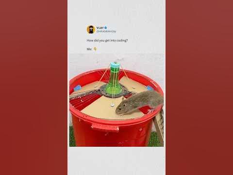 How did I get into Coding?🥶#shorts - YouTube