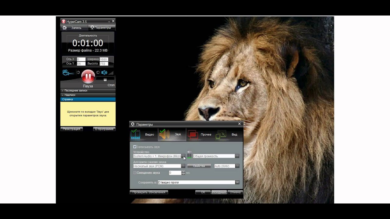 Обзор HyperCam 3.5 прога для записи экрана - YouTube
