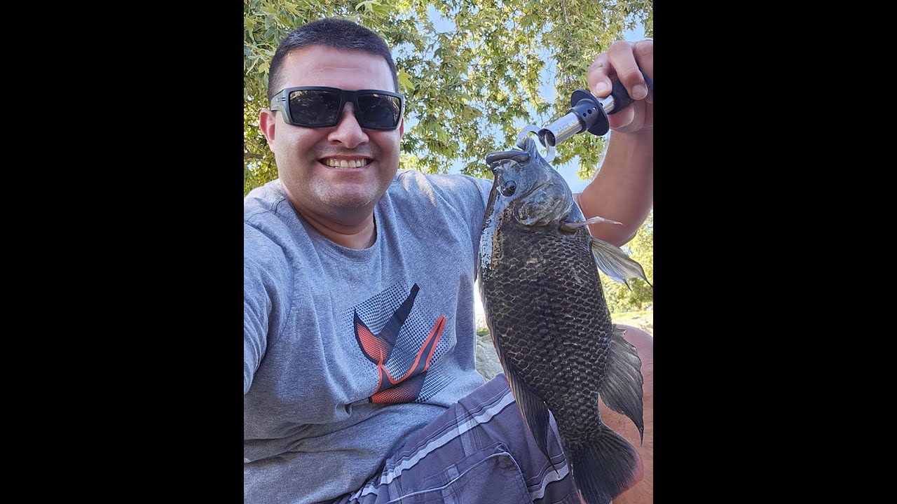 Lake Balboa Big Tilapia Fishing - Los Angeles, California - YouTube