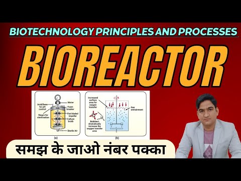 Bioreactor | Down stream processing | Biotechnology Principles and ...