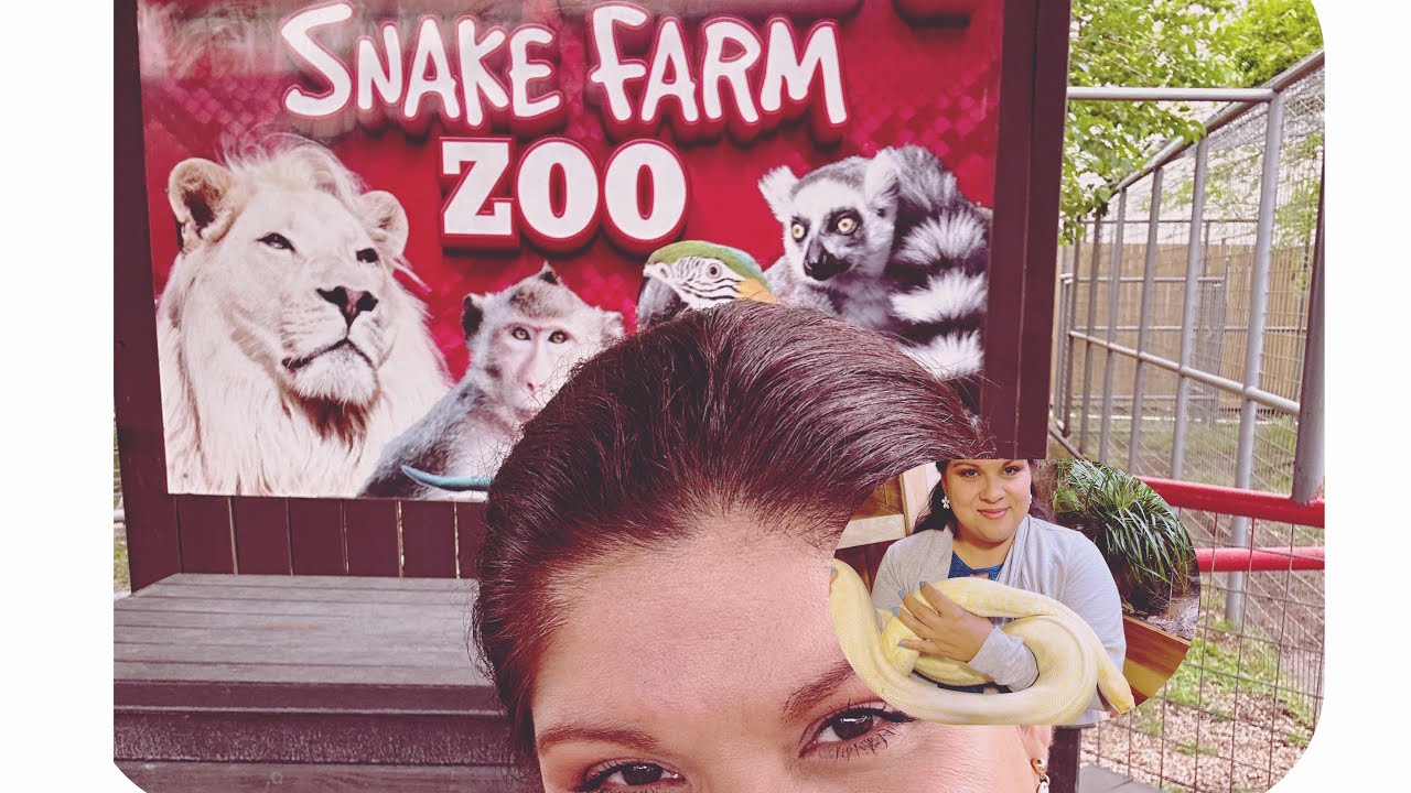 Let’s check out the Animal World and Snake Farm Zoo - YouTube