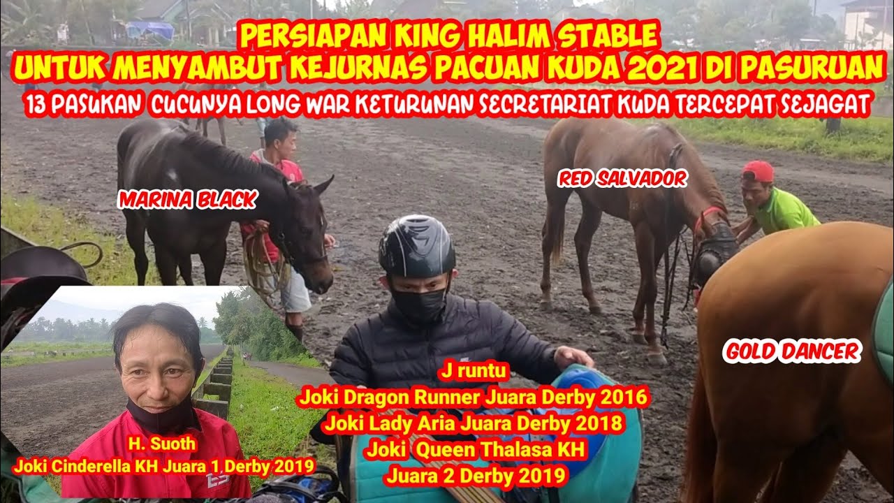 PERSIAPAN KING HALIM STABLE MEMYAMBUT KEJURNAS PASURUAN 2021 MEMBAWA 13 ...