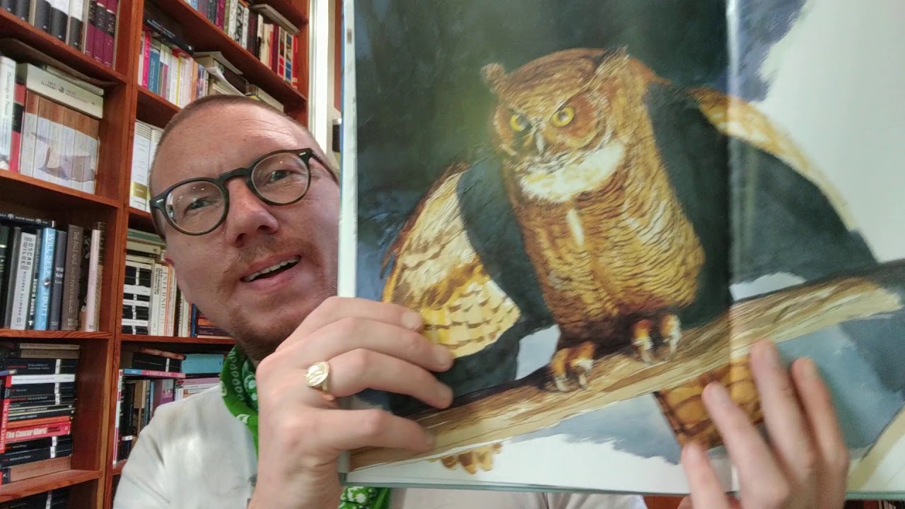 Owl Moon, by Jane Yolen - YouTube
