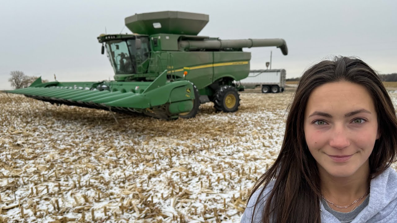 Our Corn Got Snowed On! | Laura Farms | The Content Farm