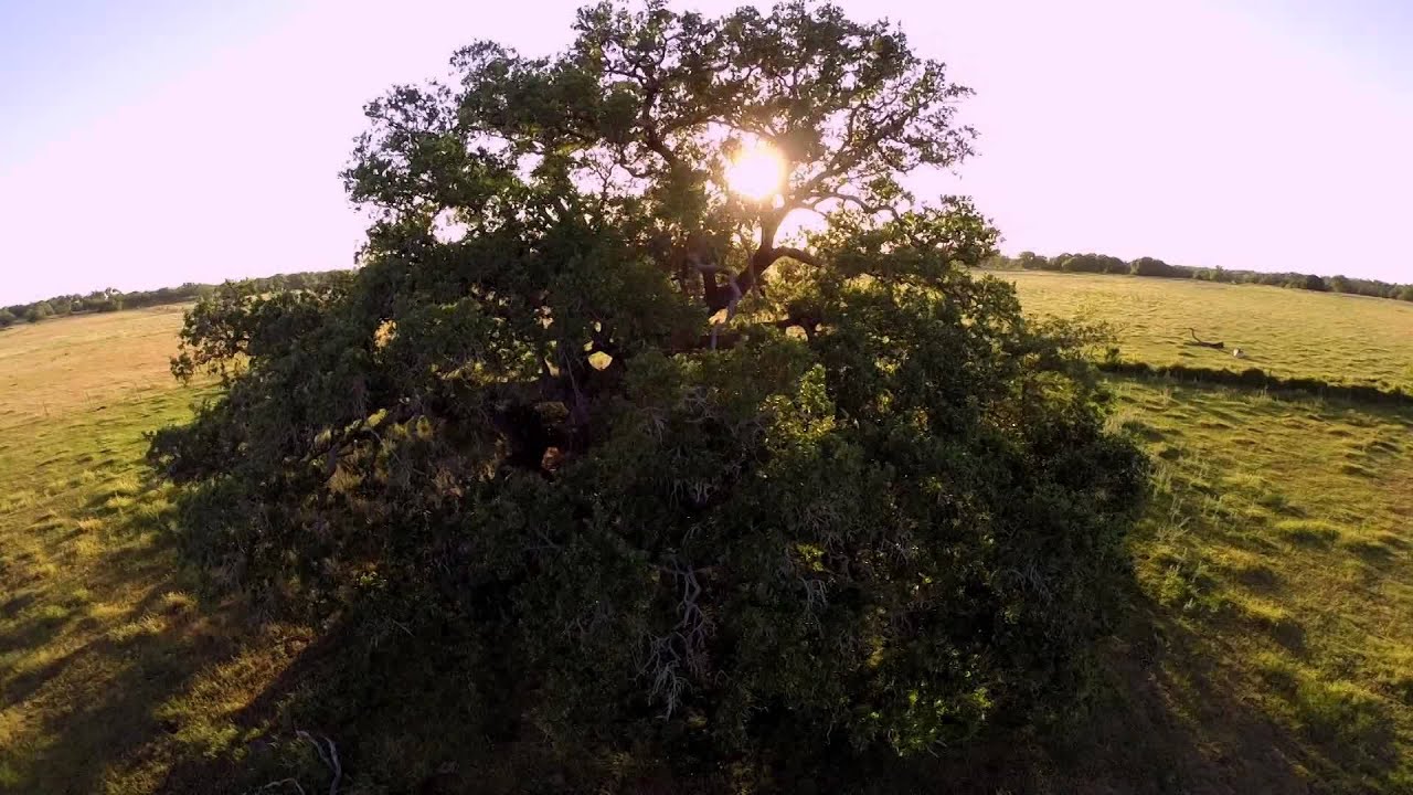 Patriot Ranch - Bevers Real Estate - YouTube