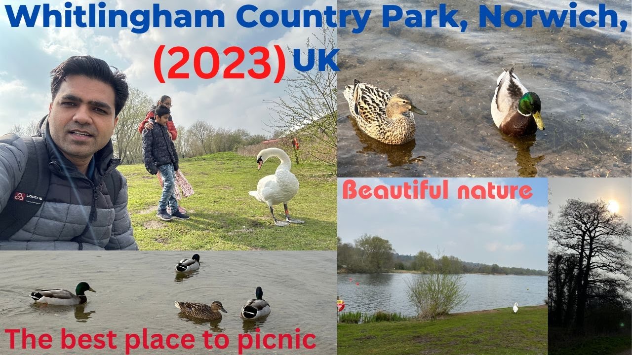Whitlingham Country Park, Norwich, UK | The best place to picnic | A ...